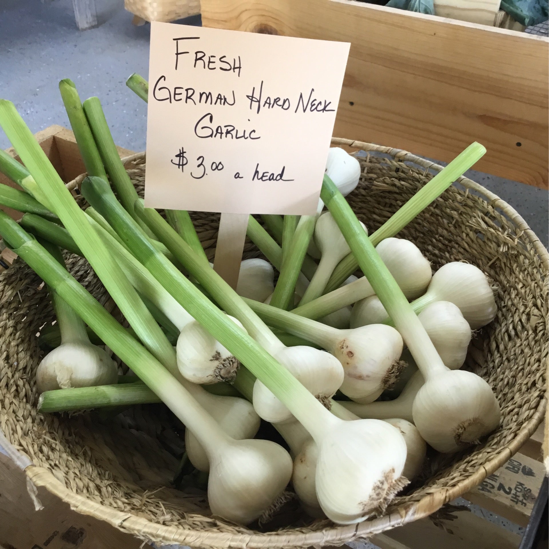 German Hard Neck Garlic | Ferris Farm Produce Inc