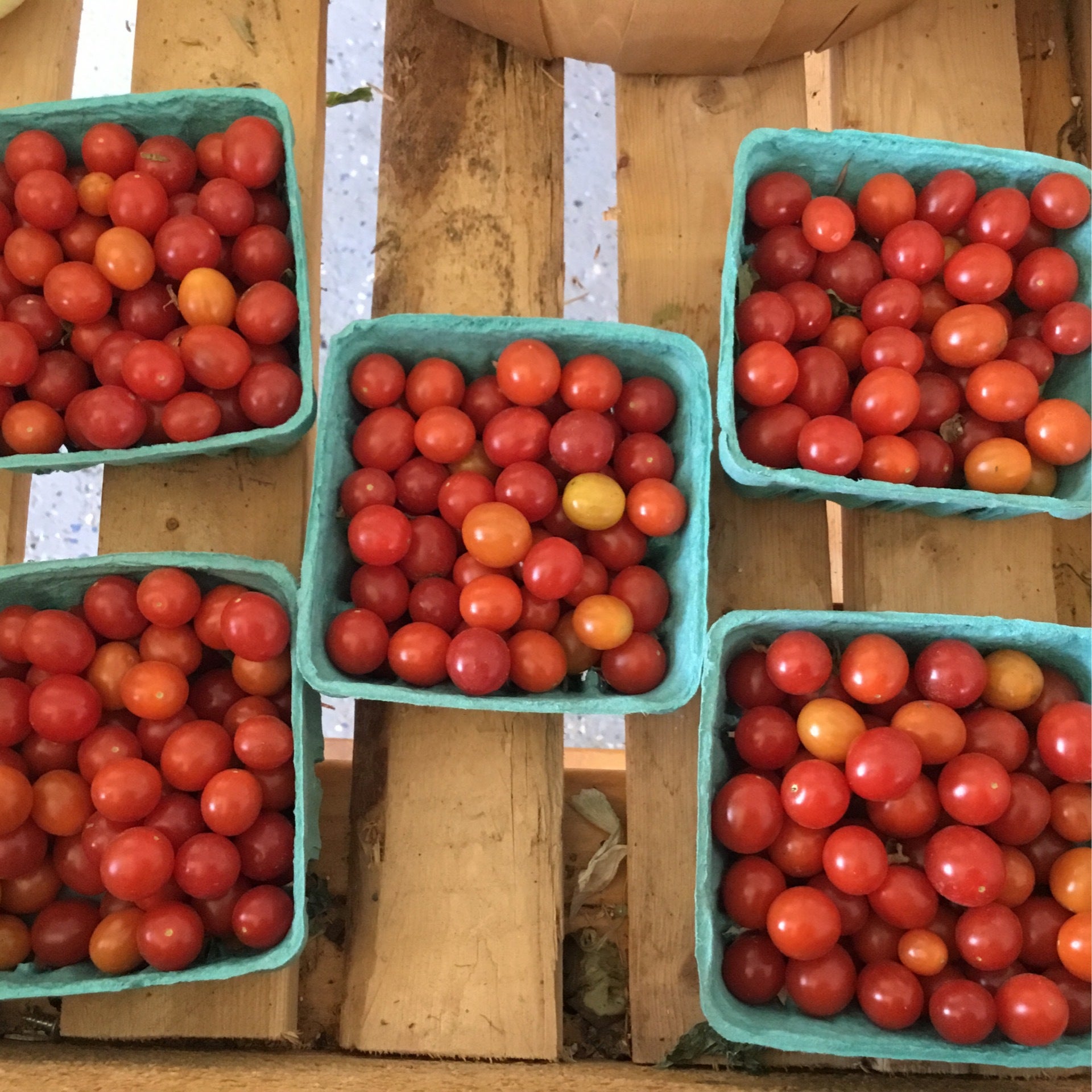 CandyLand Tomatoes - 1/2 Pint | Ferris Farm Produce Inc